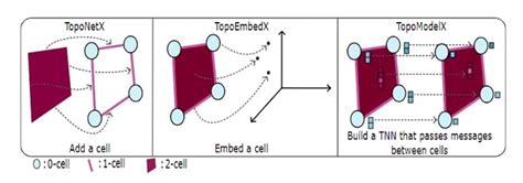 Topological Deep Learning Tdl Is A Unifying Mathematical Framework That Expands The Range Of