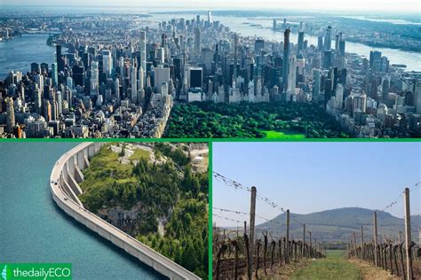 Different Types Of Ecosystems List With Examples And Photos