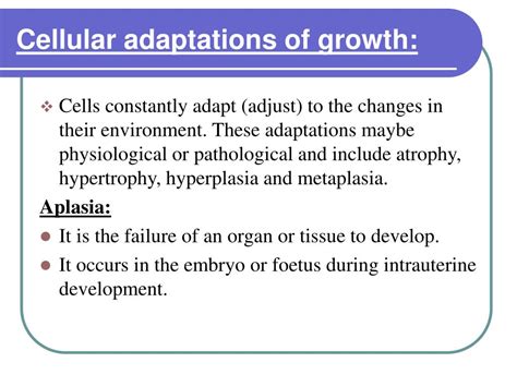 Ppt General Pathology Path Lecture Powerpoint Presentation