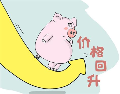 连跌猪价惨遭重创市场情绪陡变咋回事 月 日猪价 知乎