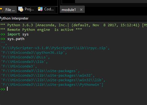 Not Able To Run Pyscripter In Windows Issue Pyscripter Pyscripter GitHub