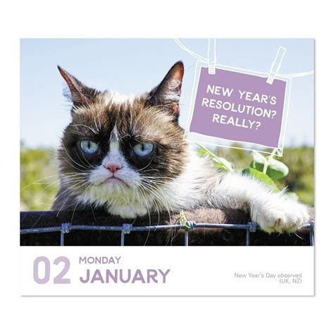 Grumpy Cat Weekend