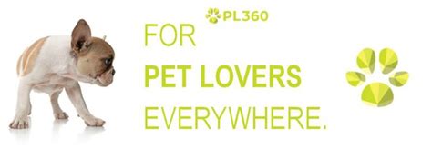 Natural Way To Care For Your Pet | PL360 Products - Golden Woofs