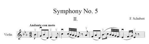 Strings Section Orchestra Instruments