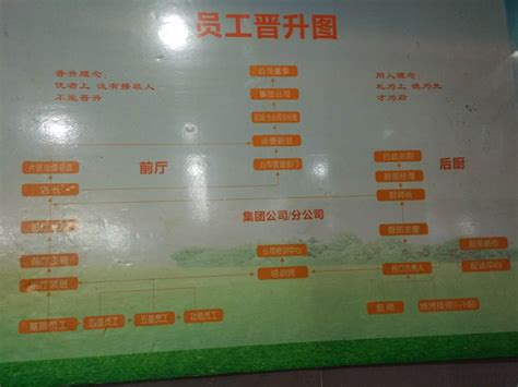 清晰职业路径的重要性 Csdn博客