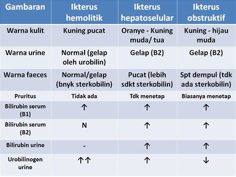 Bilirubin Part 1 Total Direct And Indirect Bilirubin