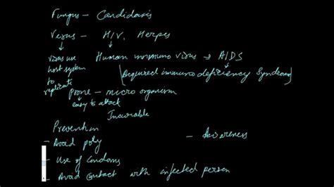 Sexually Transmitted Diseases Youtube
