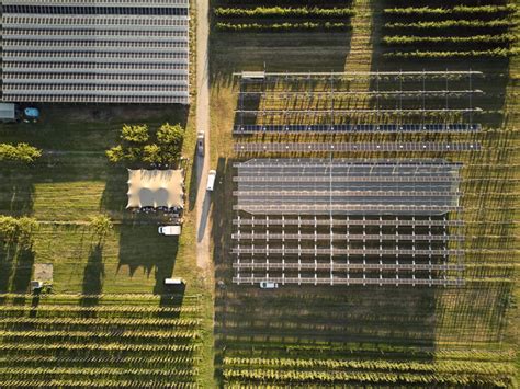 Agripv Installation On Orchards I Insolight I Agrivoltaics