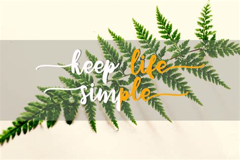 new flashlight script calligraphy by bexxtype thehungryjpeg