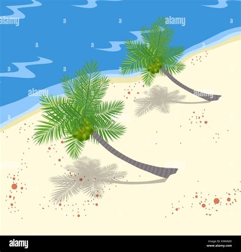 Coconuts Tree On The Beach Stock Vector Image And Art Alamy