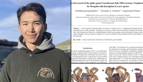 Монгол судлаач дэлхийн шинжлэх ухаанд шинэ зүйлийн аалзыг олж нээжээ Монгол туургатны цахим сайт