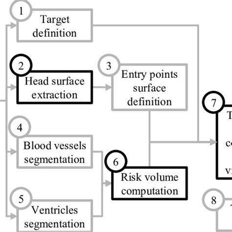 Preoperative Planning Workflow For Image Guided Keyhole Neurosurgery Download Scientific Diagram
