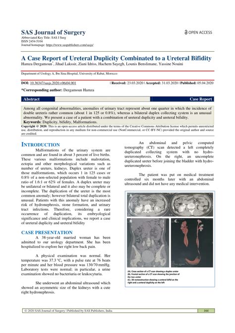 Pdf A Case Report Of Ureteral Duplicity Combinated To A Ureteral Bifidity