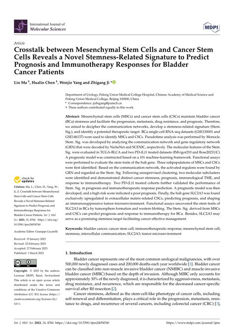 Pdf Crosstalk Between Mesenchymal Stem Cells And Cancer Stem Cells