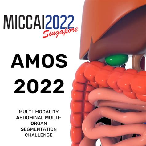 Home Multi Modality Abdominal Multi Organ Segmentation Challenge 2022 Grand Challenge