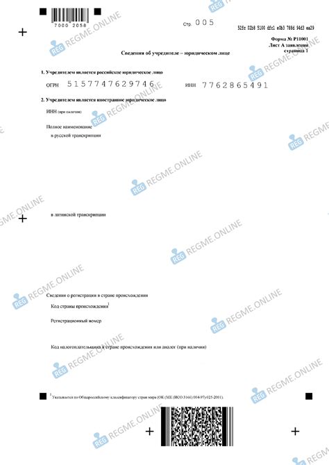 11001 образец заполнения 2024