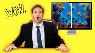 How To Blur The Edges Of A Photo In Canva In Simple Steps