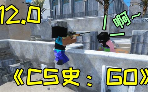 CS史GO12 0 Windy枫本体 Windy枫本体 哔哩哔哩视频