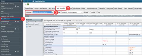 Metabolic Monitoring View Flowsheet