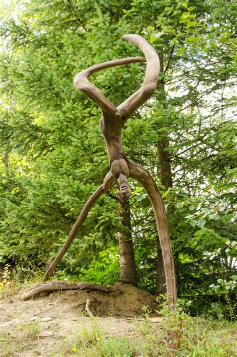 Cabana Sculptor Colibita Krestel