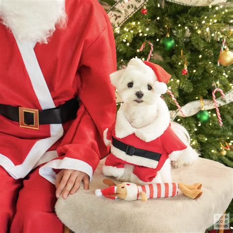 다이소 다이소 에서 준비하는🎄 크리스마스파티룩🌟 전국 예비 산타 아빠들 모두 모여 🙋‍♀ 산타복 상하의모자벨트