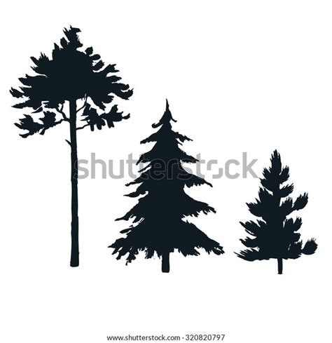 Vektor Stok Conifer Trees Set Vector Illustration Tanpa Royalti