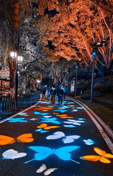 公园夜色别样美 重庆手机台