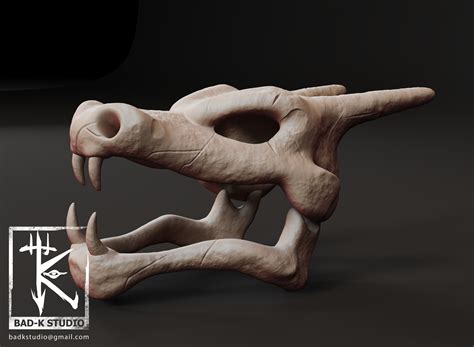 Fichier 3d Modèle Dimpression 3d Du Crâne De Charizard・objet