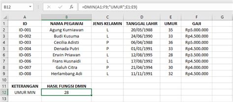 Fungsi Dmin Kegunaan Dan Contohnya Pada Microsoft Excel Portal
