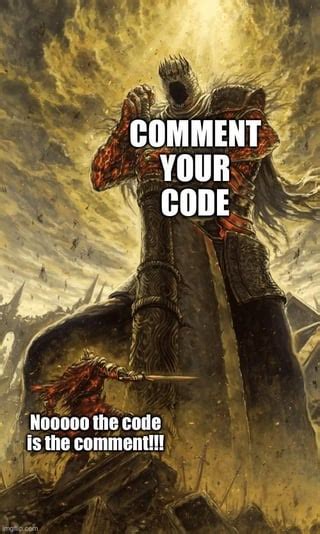 justcommentyourcodedumbass r programmerhumor