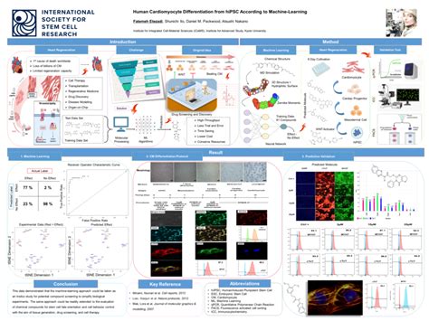 Pdf Human Cardiomyocyte Differentiation From Hipsc According To