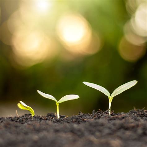 Business Sustainability Case Studies Invest In West Lothian