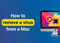 What Is A Macro Virus How To Remove It Cybernews