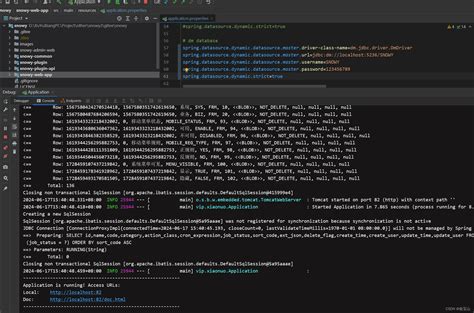 Snowy框架适配达梦数据库 Csdn博客