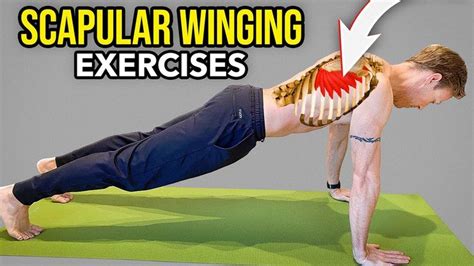 3 Exercises For Scapular Winging Serratus Anterior Muscle Strengthening