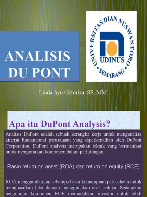 Analisis Du Pont Pdf