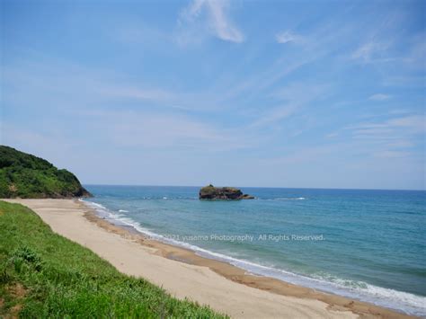 白兎海岸 間違いだらけのお庭づくり