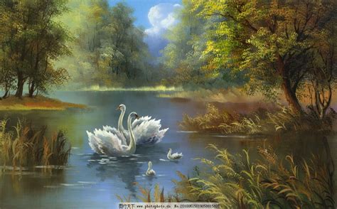 Markdown 中控制图片的大小 对齐方式mark Down 图片撑满 Csdn博客