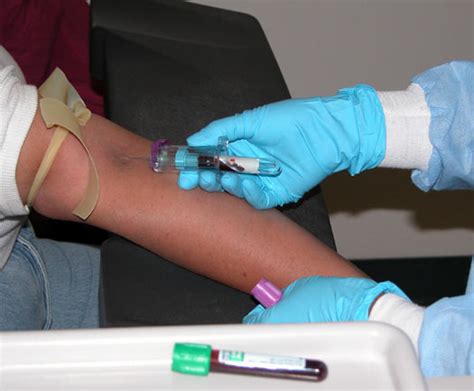 Cpt Phlebotomy Certification Diagram Quizlet