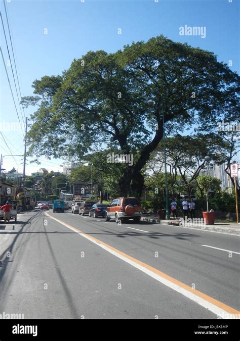 0291 Pasig River Park Cembo West Rembo Makati City J P Rizal Street