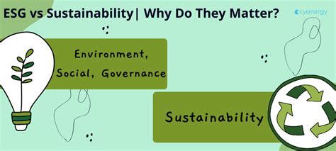 Esg Vs Sustainability Why Do They Matter Cyanergy