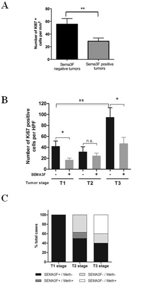 Semaphorin Plexin Signaling Pathway Involved In Axon Guidance