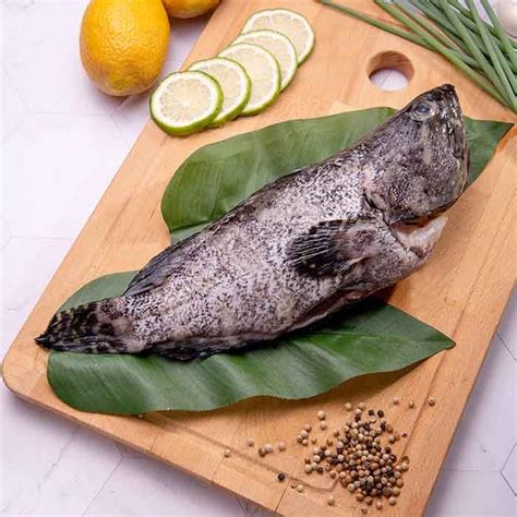 統一生機購物網 生鮮蔬果宅配到家 龍虎斑