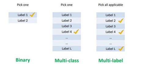 Infographics For Concepts Of Classes In Data Mining Projectpro
