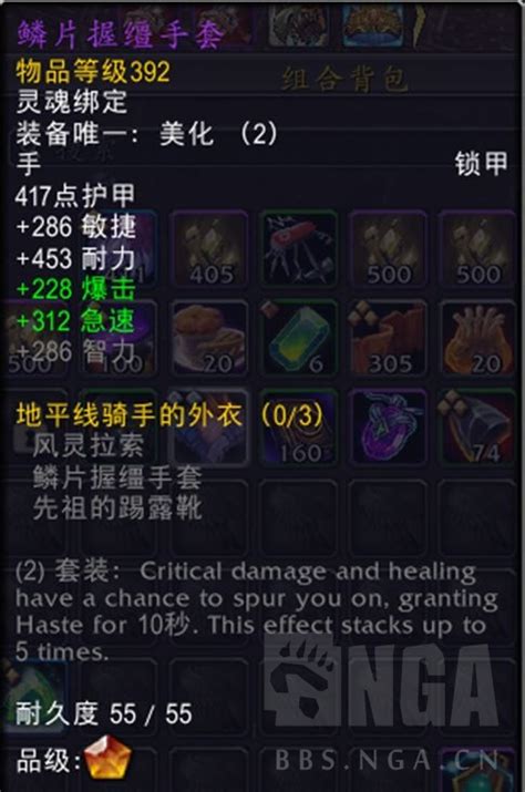 10 0 Beta DF巨龙时代 萨满可用的制造业美化装备整理与测试 178