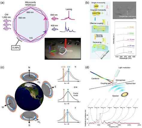 Color Online Physical Sensing Based On Micro And Nano Lasers Download Scientific Diagram
