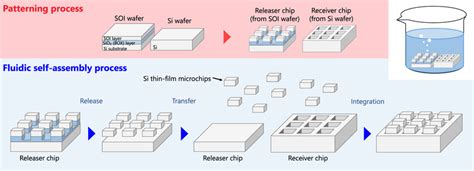 Schematic Flow Diagram Of The Experimental Process Of Fluidic