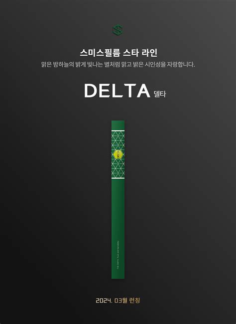 Delta 틴팅필름 더 스미스