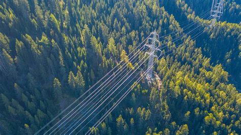 Eu Taxonomy Regulation And Disclosure Pwc Belgium