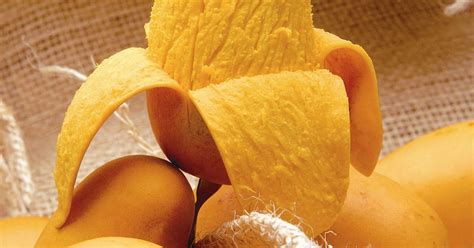 Mango Sex Online Lesbian Stories